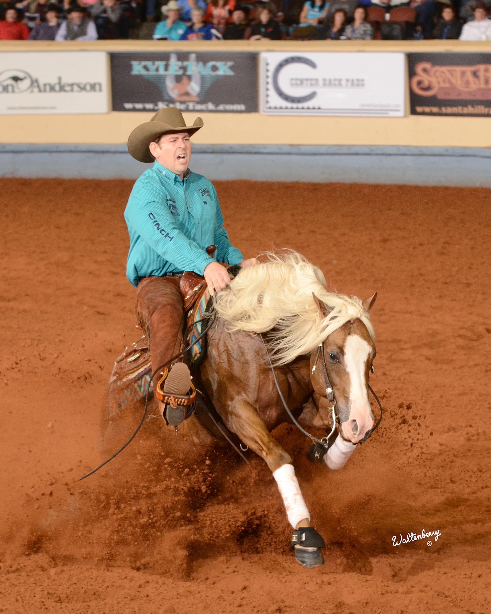 2014 NRHA OPEN FUTURITY CO-CHAMPION!!! – Larson Performance Horses