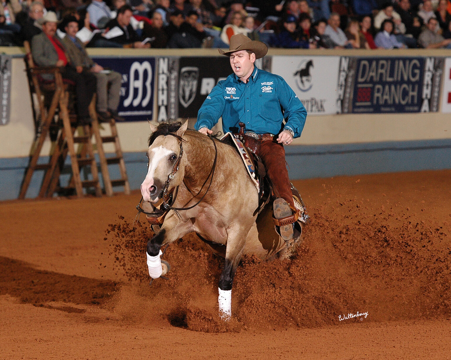 Jordan Larson – Larson Performance Horses