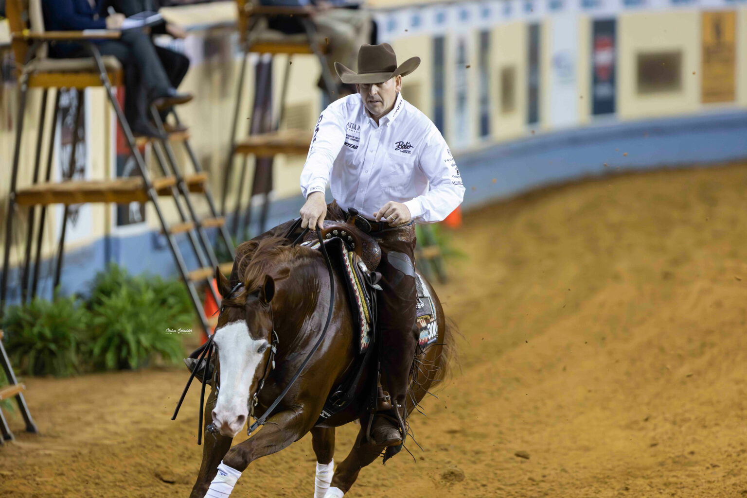 Larson Performance Horses