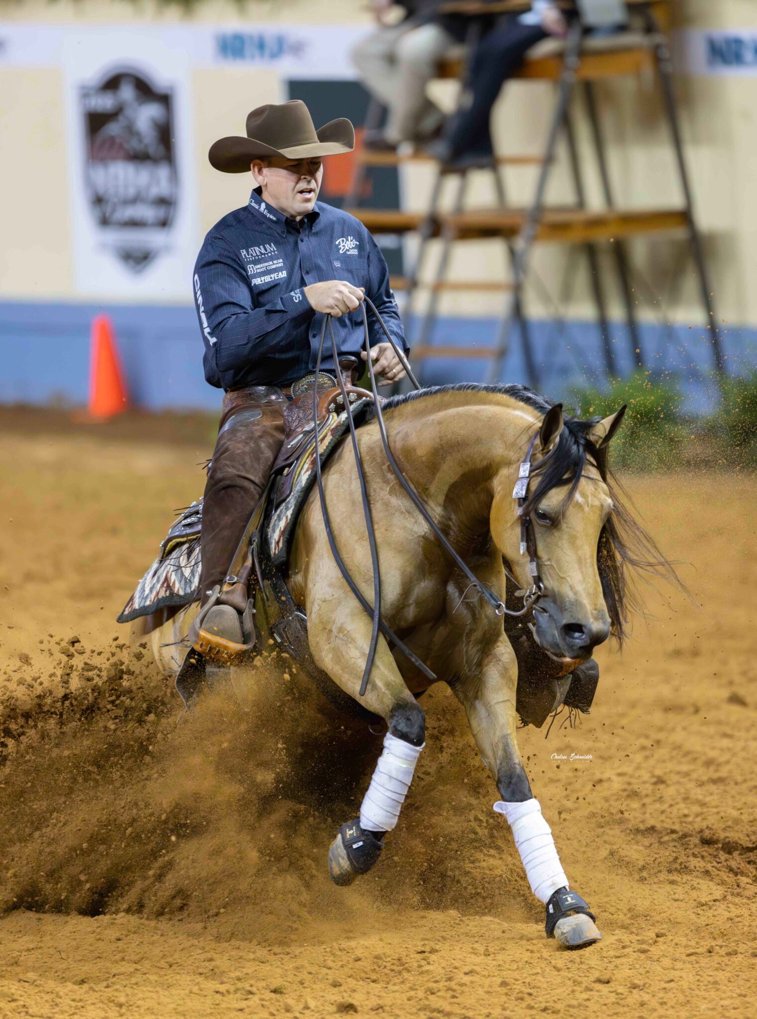 Larson Performance Horses